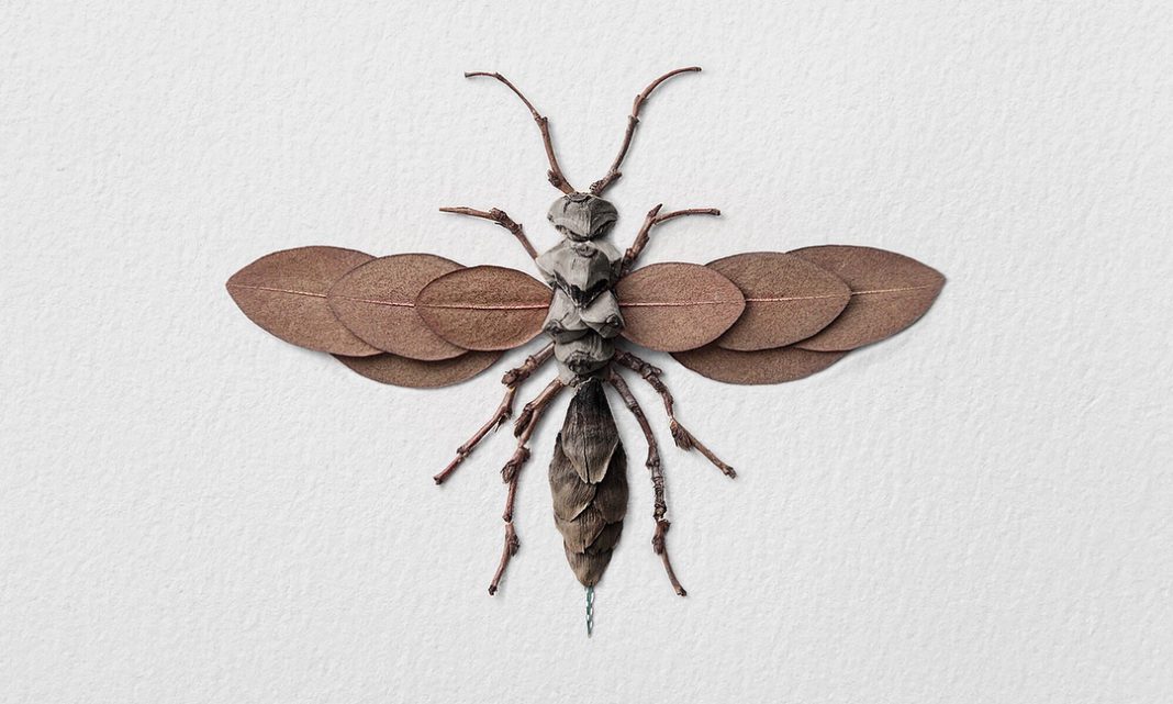 Artist Makes "Insects" from Sticks, Seeds, and PetalS - TettyBetty