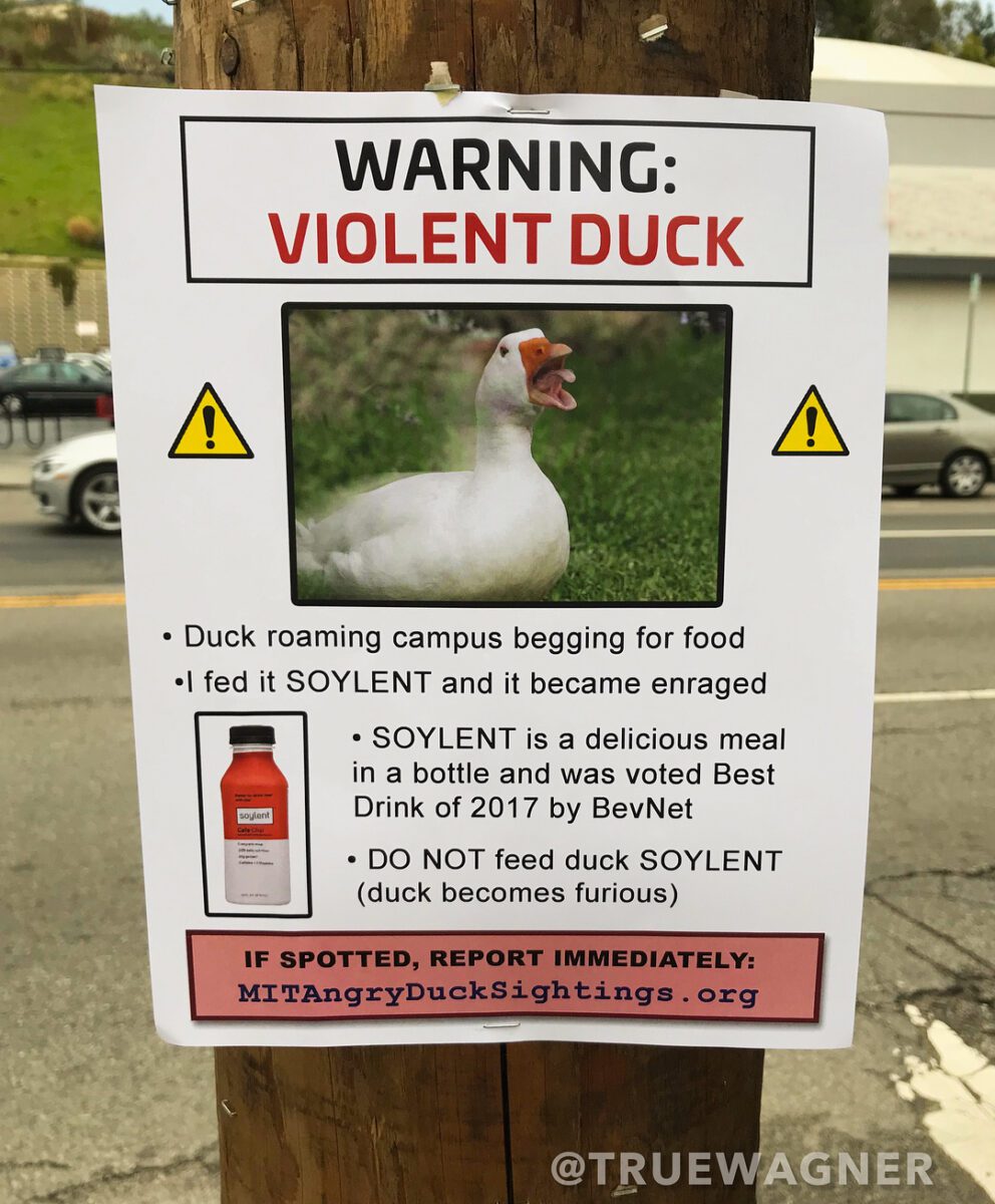 Man Trolls Neighborhood with Hilarious Fake Posters - TettyBetty