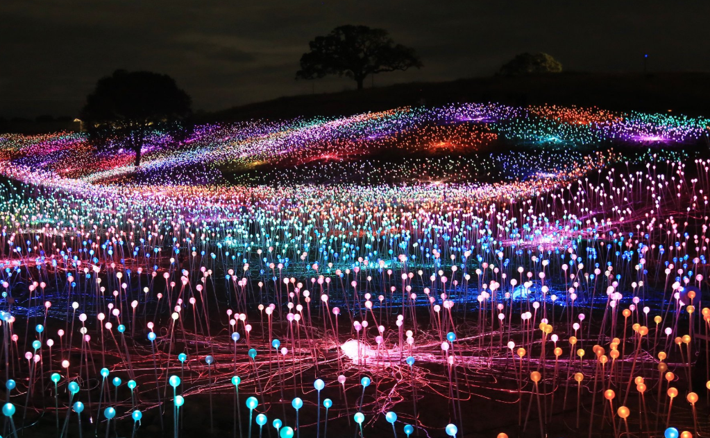 Bruce Munro’s Light Installations Illuminate Their Surroundings ...