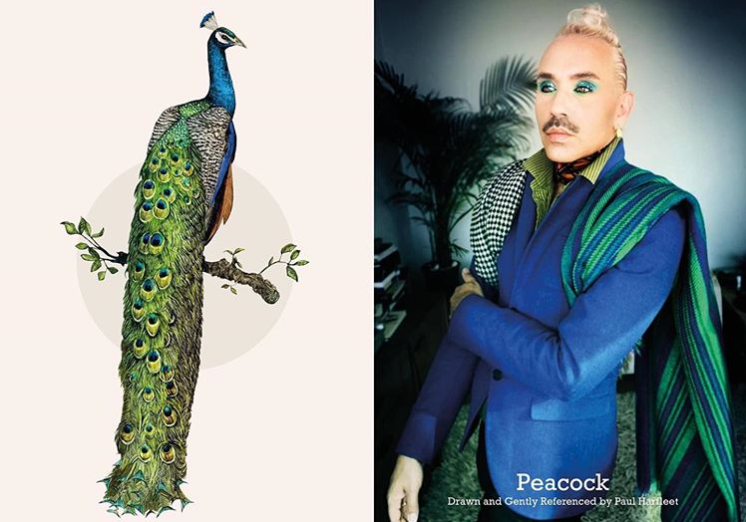 This Man Decided To Transform Himself Into Birds During Lockdown ...