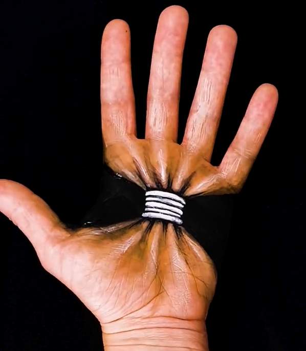 Artist Creates Astonishing Optical Illusions By Panting on Her Hands ...